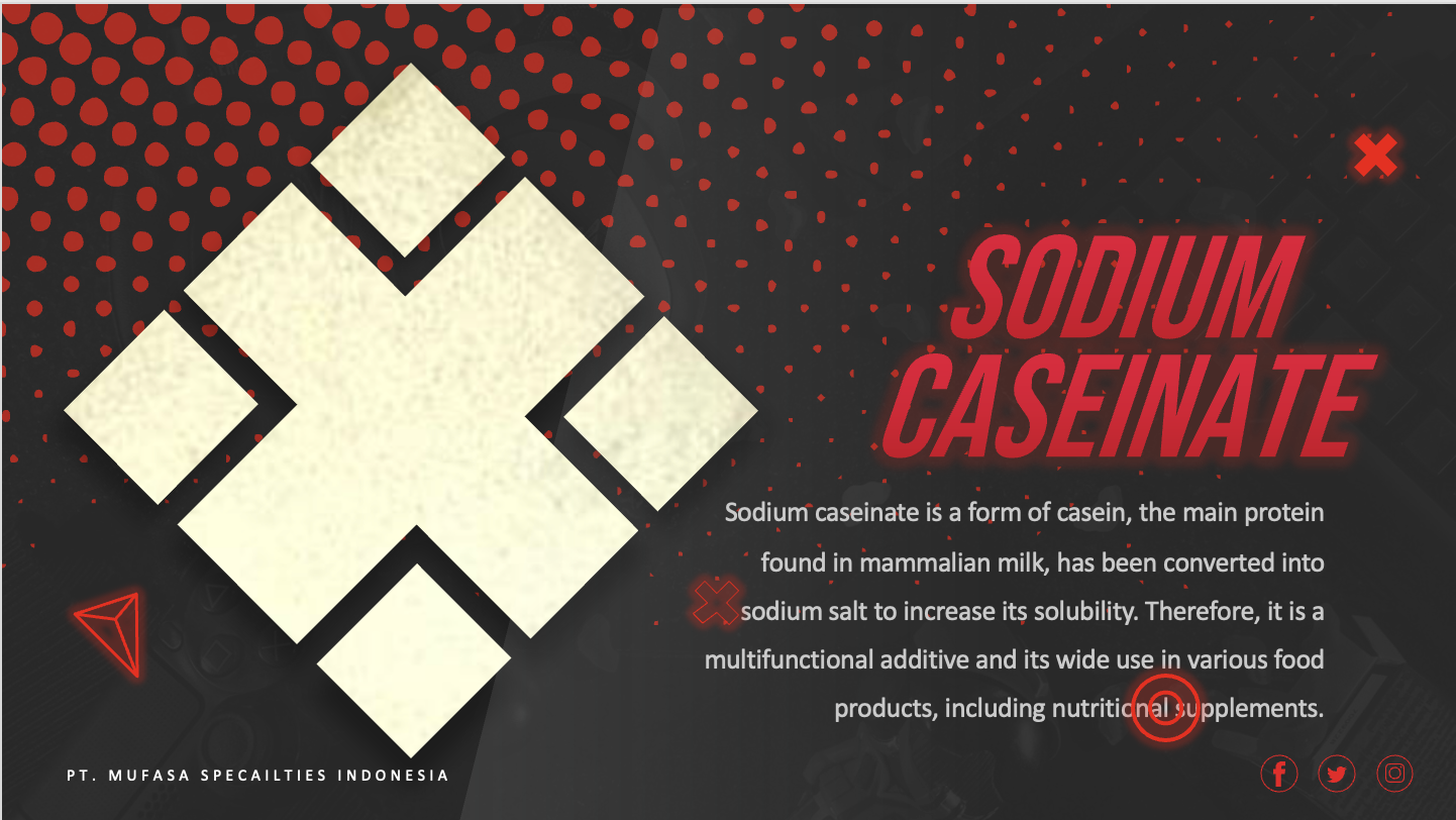 Supplier Sodium Caseinate - PT. Mufasa Specialties Indonesia